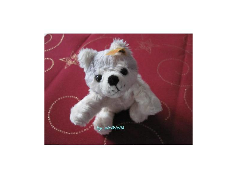 Steiff Bernie Husky liegend 280078 Testberichte bei yopi.de