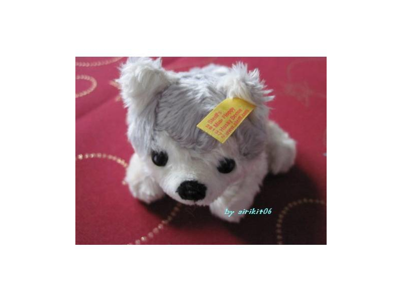 Steiff Bernie Husky liegend 280078 Testberichte bei yopi.de