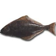 Heilbutt - 2 Rezepte Testberichte bei yopi.de